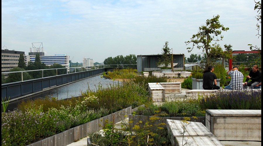 Alles over groendaken | Waternet