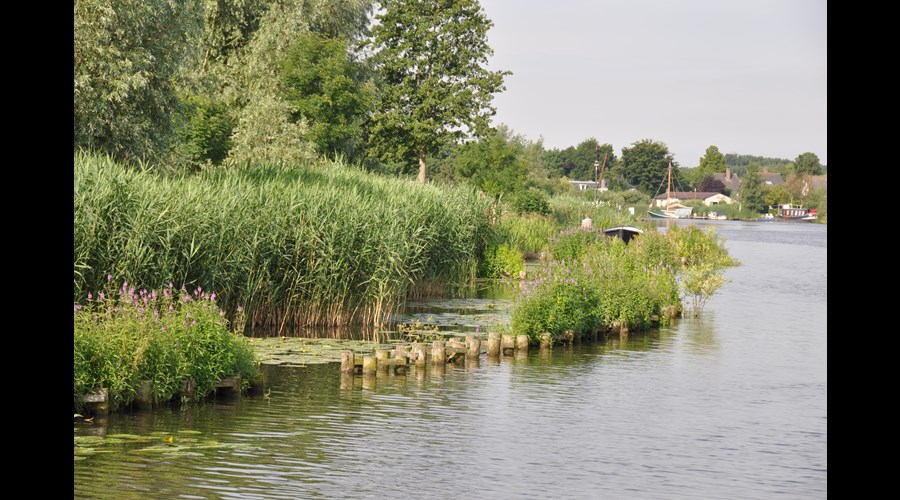 Duurzaamheid | Waternet